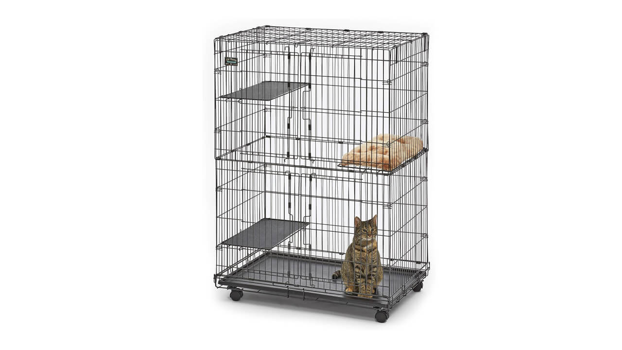 Top 5 Best Cat Cages